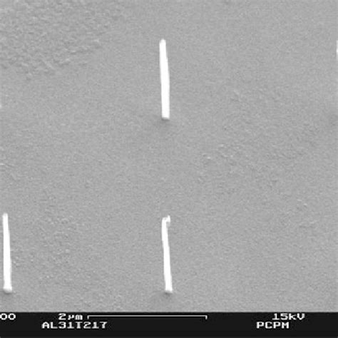 2 Schematic Of A Dual Beam FIB SEM Setup Illustrating A Vertical SEM Download Scientific