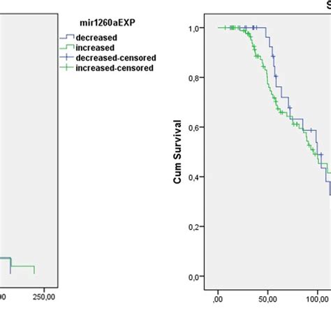 String Analysis Demonstrating The Geneprotein Interaction Of Mir 1260a