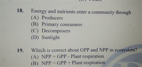 Which Is Correct About Gpp And Npp In Ecosystêm Filo