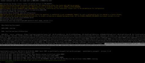 JBoss EAP 7 3 Does Not Start When Attaching The Javaagent Issue 2546