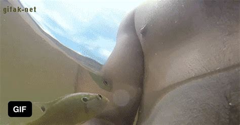 How To Catch A Fish GAG