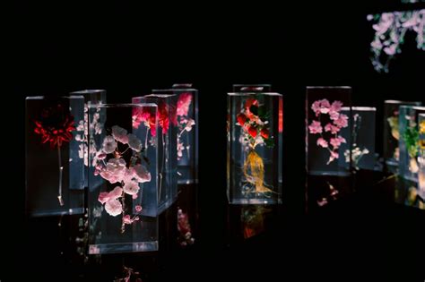 東信展繁花 時敘展期倒數把握時間來NOKE忠泰樂生活一窺花卉大師首次來台之作欣傳媒