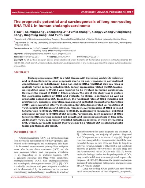 pdf the prognostic potential and carcinogenesis of long non coding
