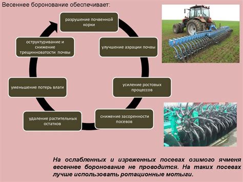 Технологии возделывания ячменя презентация онлайн
