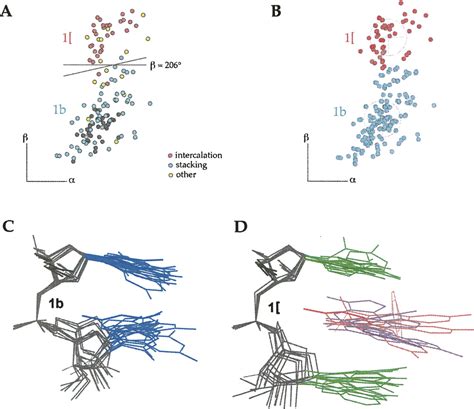 Rna Backbone Consensus All Angle Conformers And Modular String Nomenclature An Rna Ontology