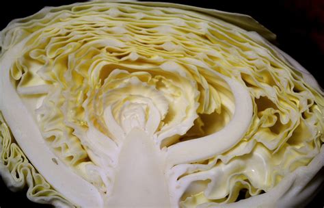 Repollo Textura Vegetal Foto Gratis En Pixabay