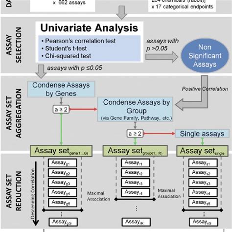 Predictive Model Assay Selection Toxcast In Vitro Hts Assay Data