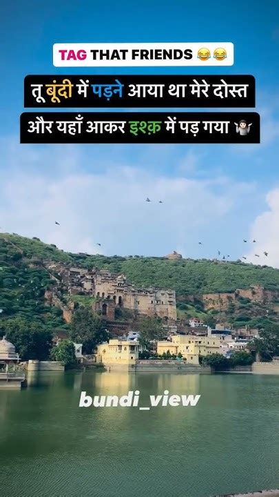 Bundi Viralshortsvideo Funny 🤣 Youtube