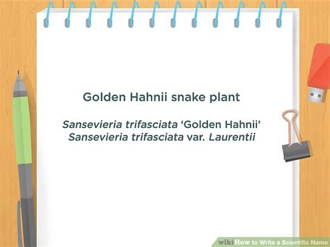 How To Write A Scientific Name 8 Steps With Pictures WikiHow