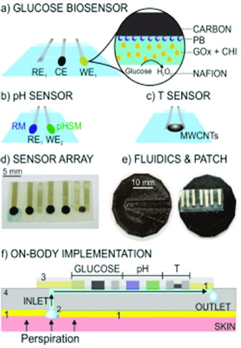 A Glucose B Ph Potentiometric And C Temperature Sensor D And E Download Scientific