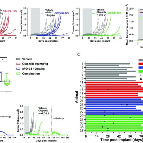 Anti Tumor Activity Of Olaparib Alone And In Combination With Download Scientific Diagram