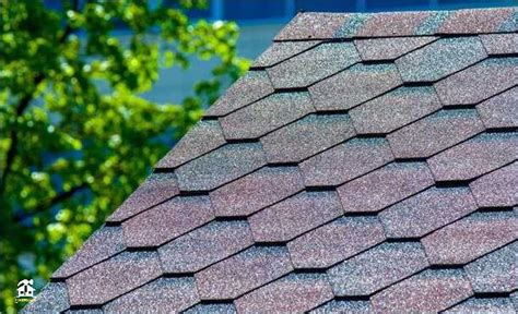 Co To Jest Gont Bitumiczny Wszystko Co Musisz Wiedzieć O Gontach Bitumicznych [zaktualizowano