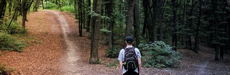 Building A Serverless Microservice Crud Restful Api With Mongodb By