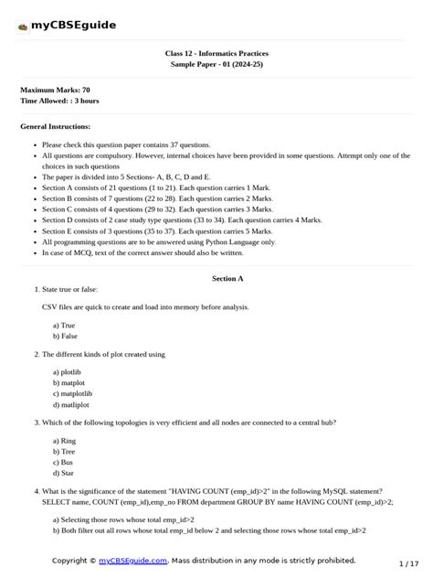 12 Informatics Practices Sp 01 Pdf Websites String Computer Science