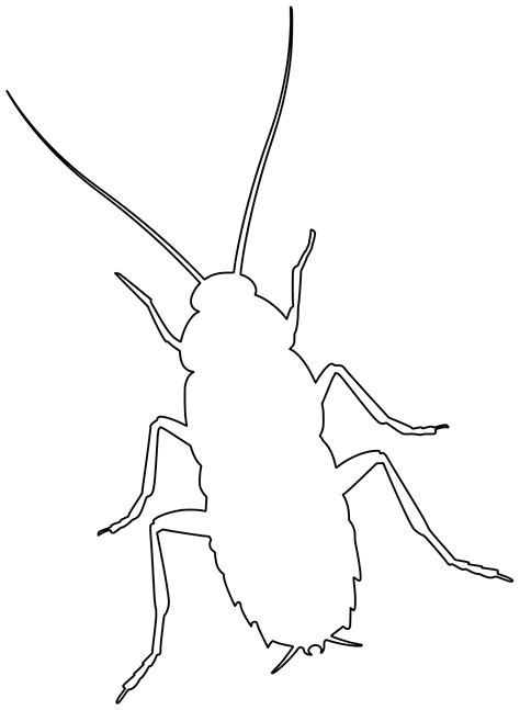 Shape Of Cockroach Free Printable Papercraft Templates