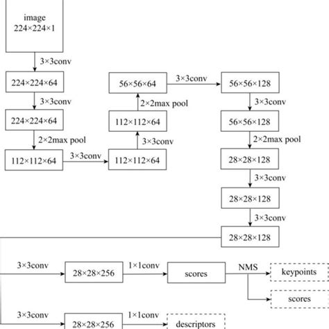 Feature Detection Overview Download Scientific Diagram