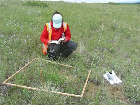 Protecting Native Mixed Grass Prairie At Little Bighorn Battlefield National Monument Us