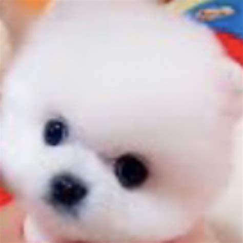 Brandon Phung Youtube