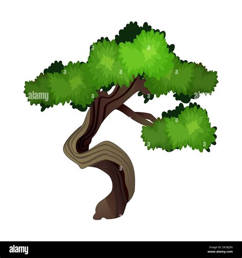 Realistic Green Sprawling Tree Isolated On White Background Vector