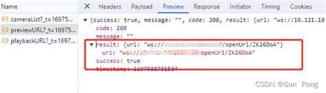 【vue】vue实现海康ws协议的实时监控播放 vue使用wfs js实现实时监控 csdn博客