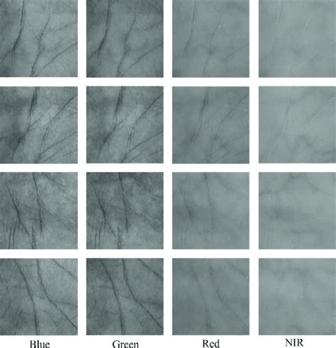 multispectral palmprint samples in the polyu database download