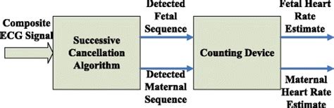 Fetal And Maternal Heart Rate Estimation Using The SC Algorithm Download Scientific Diagram