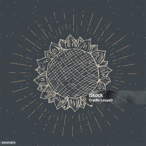 해바라기 스케치 빈티지 라벨 손으로 그려진된 그런 지 질감된 배지 복고풍 로고 템플릿 인쇄 술 디자인 벡터 일러스트 레이 션 0명에 대한 스톡 벡터 아트 및 기타 이미지