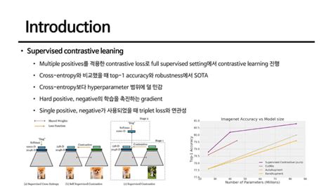 Supervised Constrastive Learning Ppt