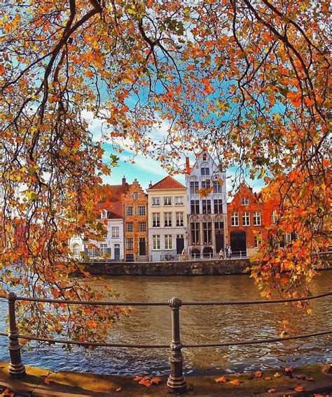 世界的秋天有多美？！photoby生活