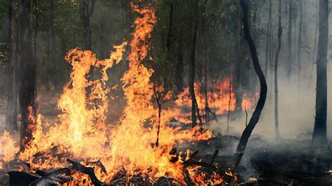 Fire Central Coast NSW House Fire Charmhaven Firefighters News Com Au Australias
