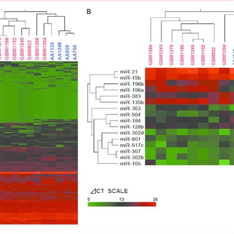a hierarchical clustering analysis of 365 mirna expression profiles in