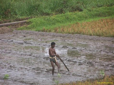 Will The Real Agritech Platform Please Stand Up