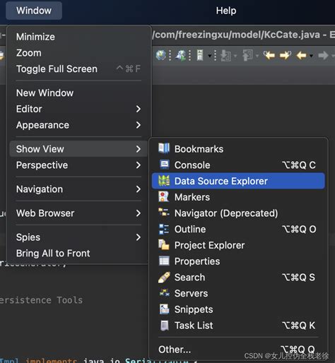 在eclipse中连接数据库、查看数据表、从数据库表生成实体类eclipse根据data Source生成实例 Csdn博客