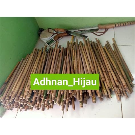 Jual Mainan Tradisyonal Pletokan Tembakan Bambu Shopee Indonesia