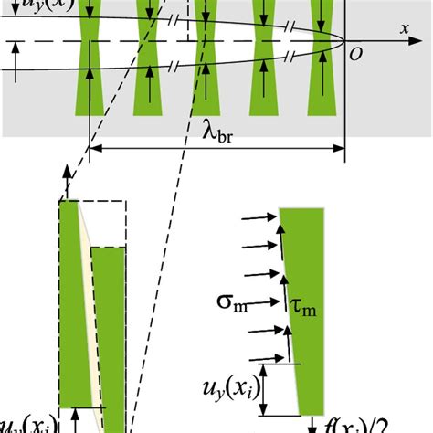 The Schematic Diagram Of Discrete Bridging Force Download Scientific Diagram