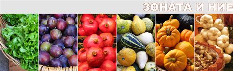 Зонов ресторант в София Зоната и ние Диета Зоната