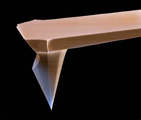 Atomic Force Microscopy Cantilever Photograph By Meckes Ottawa Fine Art America