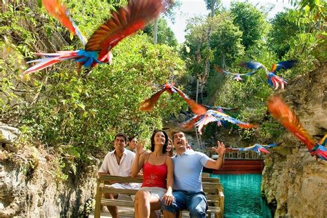 Tripadvisor All Inclusive Xcaret Park Mit Transport Von Cancun Und