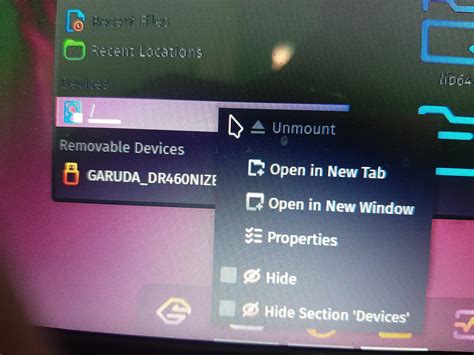 Partition Error On Installation Issues And Assistance Garuda Linux Forum