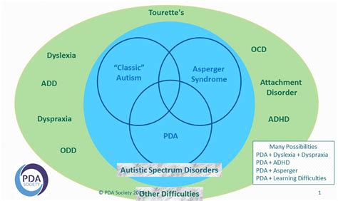 The Difference Between PDA And ODD Steph S Two Girls