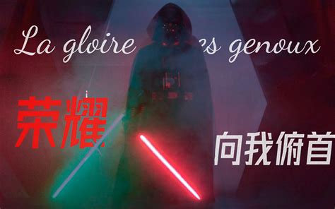 Luke Anakin La Gloire Mes Genoux Sw