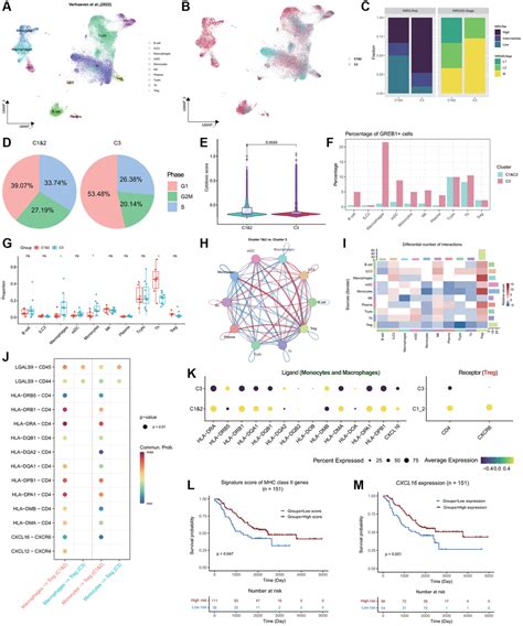 Immune Microenvironment Heterogeneity Reveals Distinct Subtypes In