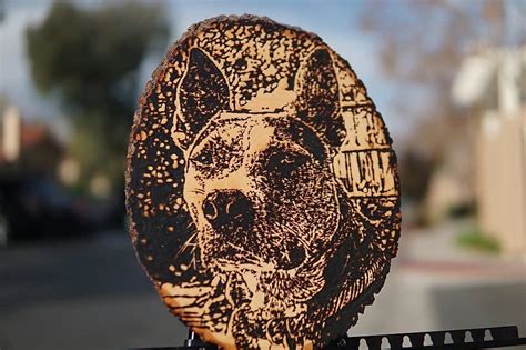 돋보기로 그리는 태양광선 그림짱공유 유머·엽기영상