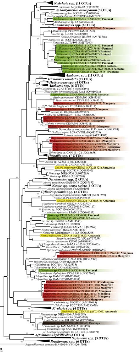 Figure 165 From Microbial Diversity In The Genomic Era Semantic Scholar