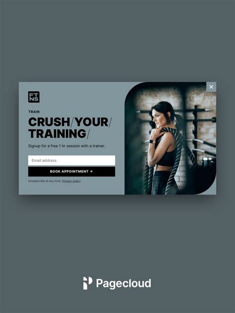 Dynamic Appointment Booking Popup Template Webpage Template Pop Up