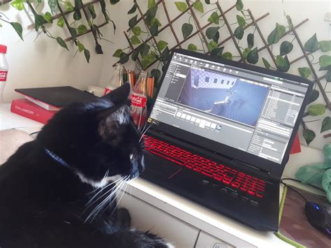 Deep Dive Project Deepdiveproject Twitter