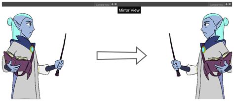 Storyboard Pro 22 Online Help About Mirror View