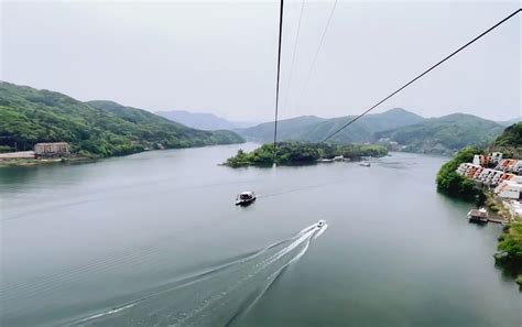 스카이라인 짚와이어
