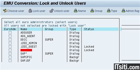 EWZ EMU Conversion Lock Unlock SAP Users
