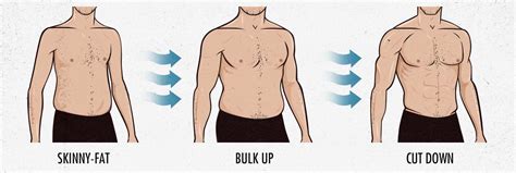 Best Exercises For Skinny Fat Guys Eoua Blog